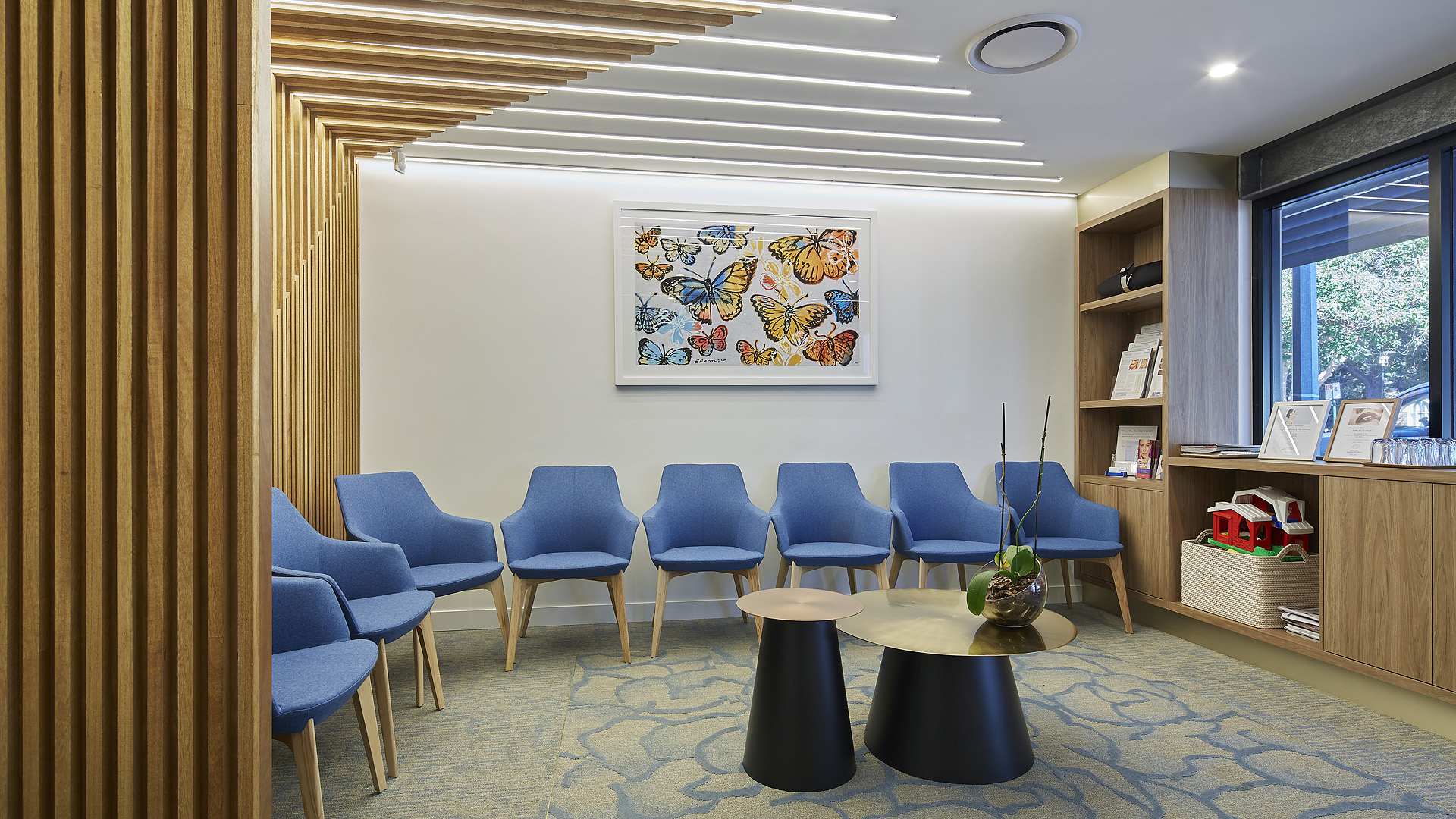 Dr Ian Timms :: Medifit Design & Construct - Award Winning Medical and ...