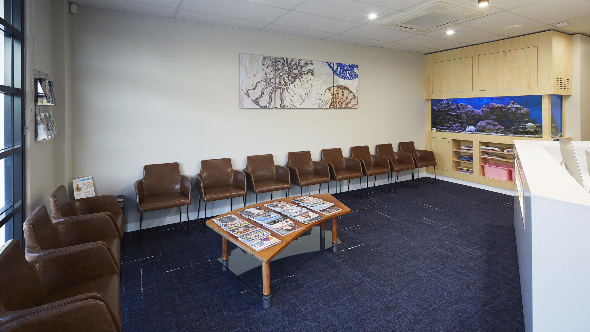 Carousel Orthodontics :: Medifit Design & Construct - Award Winning ...